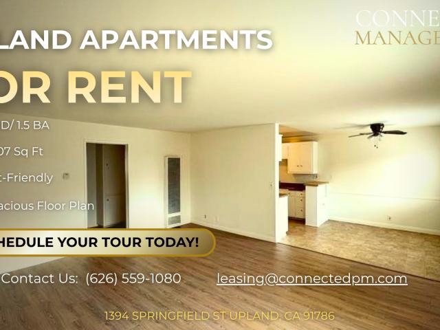 Springfield Apartments 1394