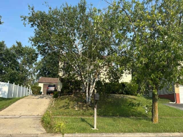 Springfield Ave