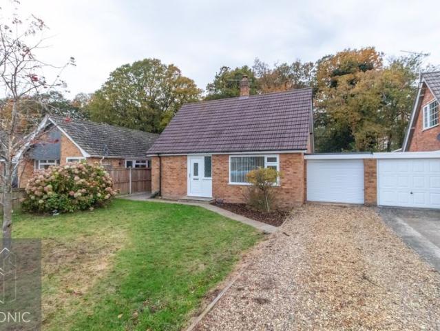 Springfield Road, Taverham, Norwich NR8, 3 bed detached bungalow to rent, £1,450 pcm | PrimeLocation