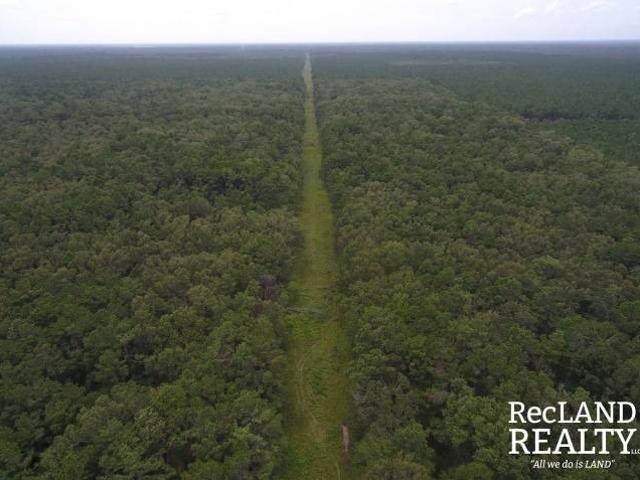 Springhill Rd, Monroe, LA 71203