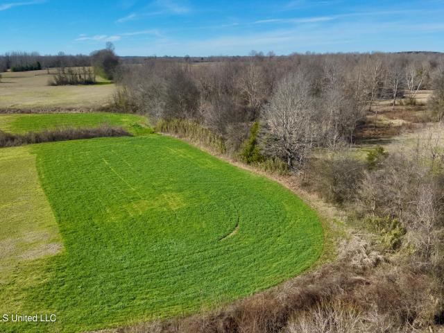 Springhill Road, Lexington, MS 39095