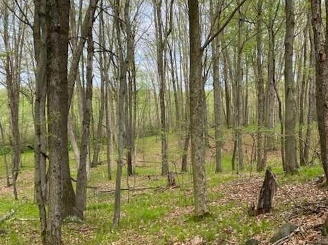 Springport, Parma, MI 49269 MLS 24022295