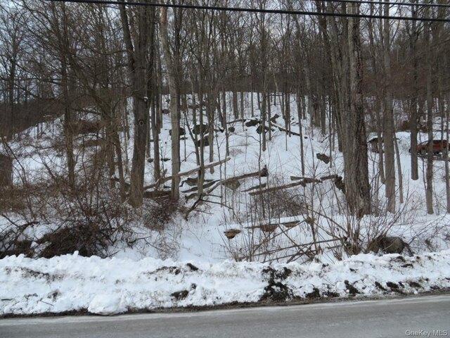 Sprout Brook Rd, Garrison, Plot For Sale