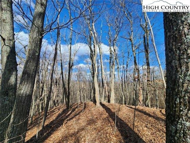 Spur Cove Ln, Boone, Plot For Sale