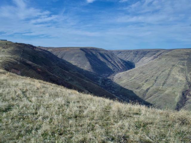 Spur Road 86 acres