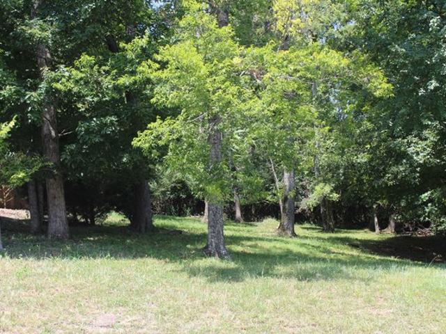 Spy Glass Way Lot 59, Hendersonville, TN 37075