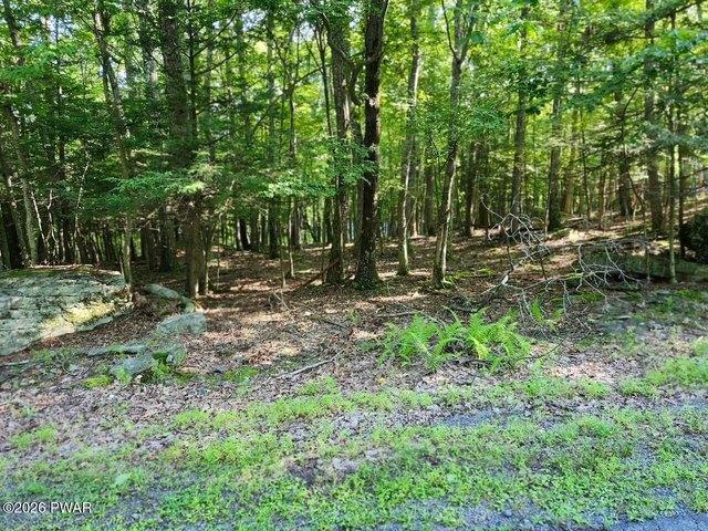 Squaw Valley Ln, Tafton, PA 18464