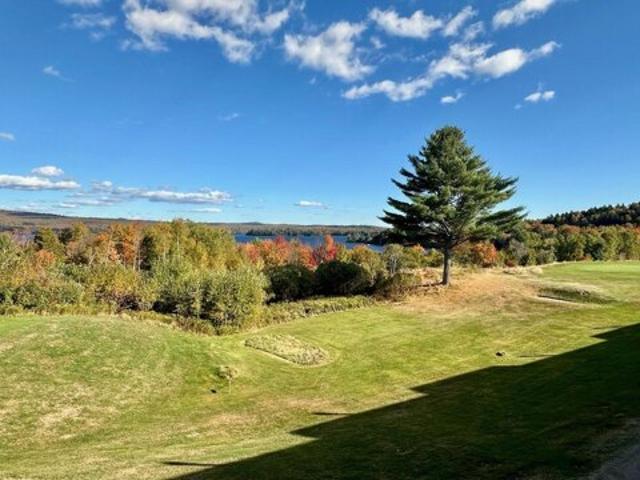 Squaw Vlg Unit D, Moosehead Junction Township, Condo For Sale