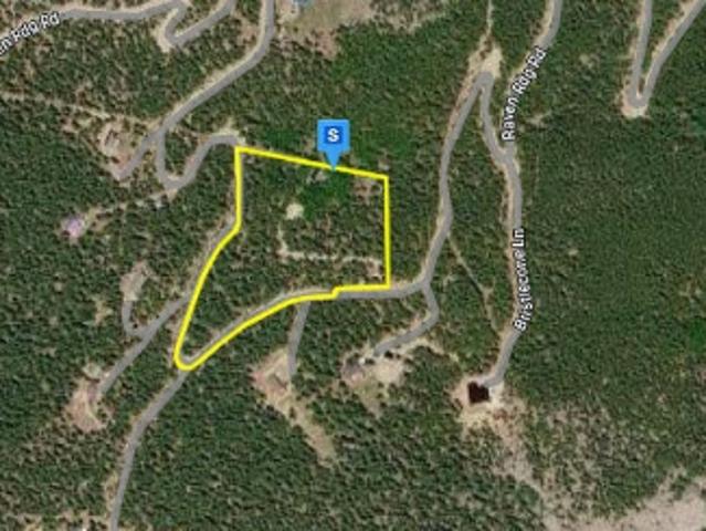 Squaw Mtn Trl