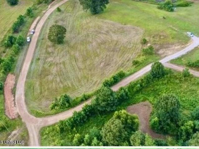 Squirrel Hollow Rd, Holly Springs, Plot For Sale
