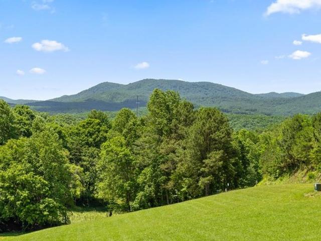 Squirrel Hunt Rd Lot 12, Morganton, GA 30560