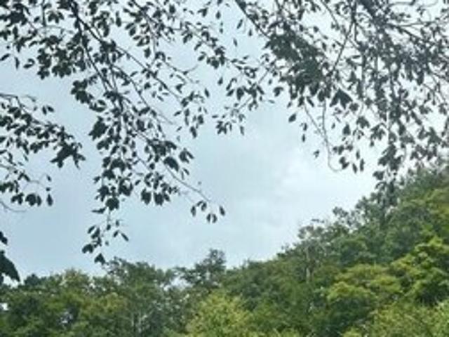 Squirrel Ln, Saint Charles, VA 24282