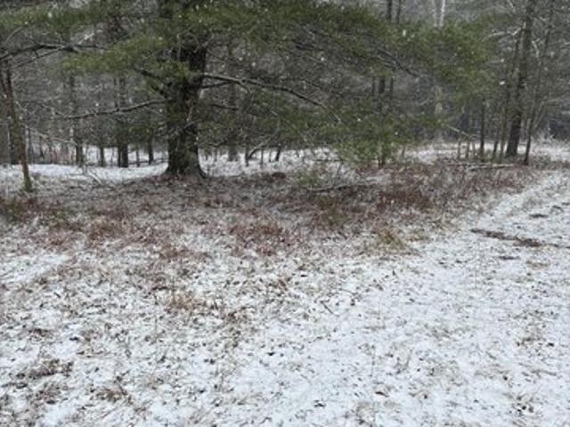 Sr2001 Rattlesnake Rd, Brockport, PA 15823