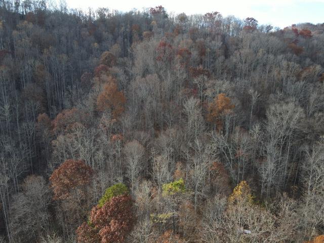 SR 1218 Pinhook Road