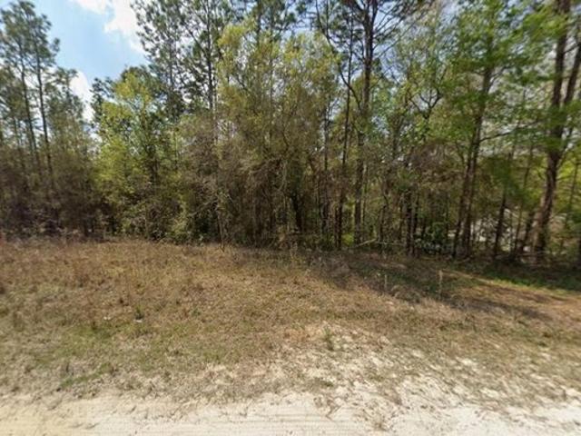 SW 45th Lane Rd, Ocala, FL 34481
