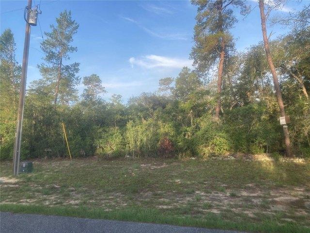SW 50th Terrace Rd, Ocala, FL 34473