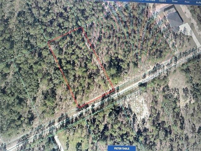 SW 54 Lane Rd, Dunnellon, FL 34432