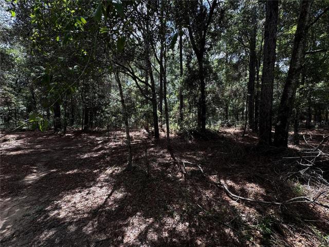 SW 54th St, Dunnellon, FL 34431 | MLS #TB8411