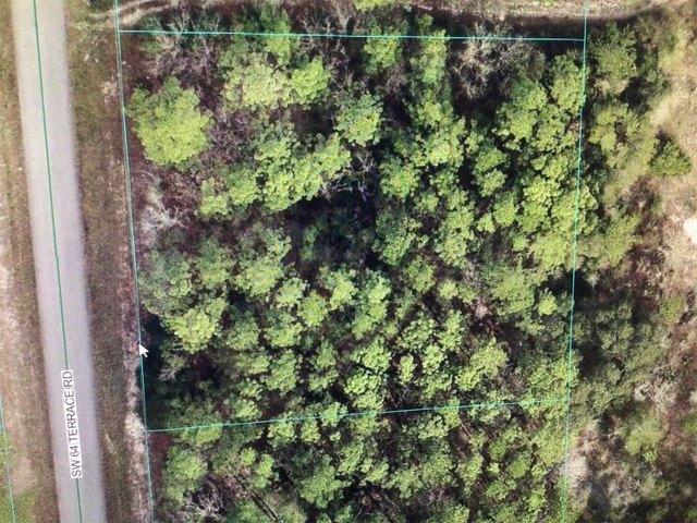 SW 64 Terrace Rd, Ocala, FL 34473