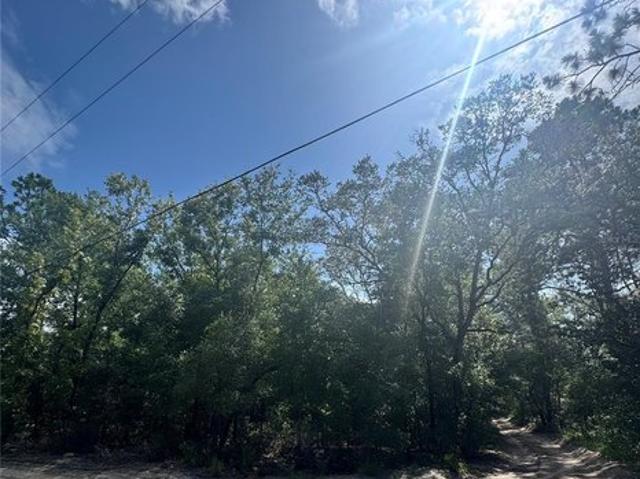 SW 65th Ave, Dunnellon, FL 34432