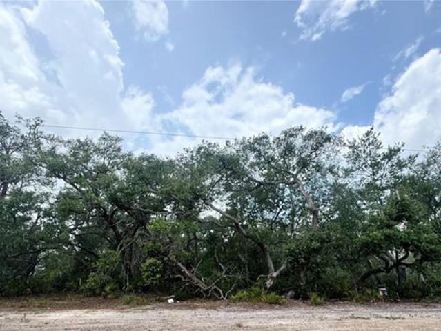 SW 71st Rd, Ocala, FL 34473