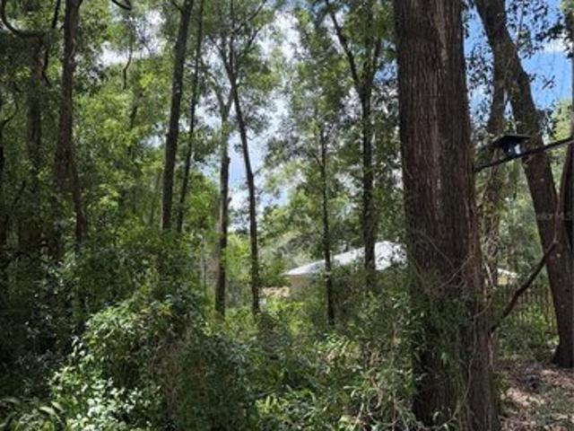 SW 76th Ave, Ocala, FL 34476