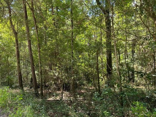 SW 76th Dr Lot 39, Jasper, FL 32053