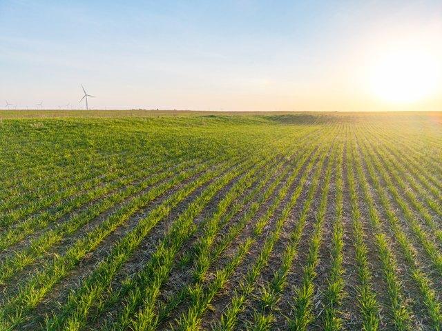 SW 80 St, Kingman, KS 67068