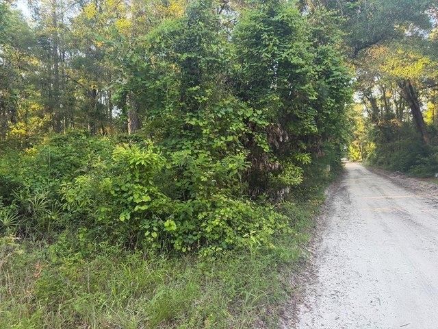 SW 82nd Ct, Fanning Springs, FL 32693