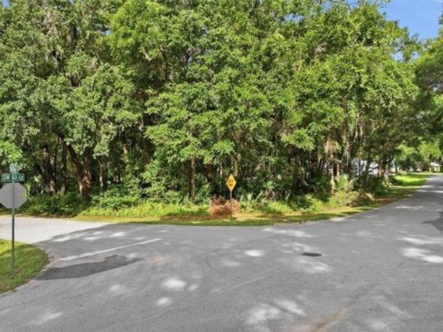 SW 93rd Loop Lot 3, Dunnellon, FL 34432