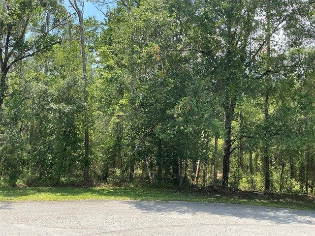 SW 90th Pl, Dunnellon, FL 34431
