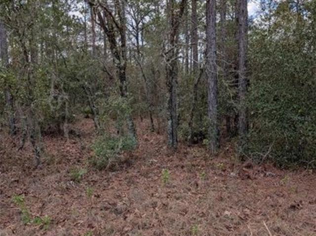SW 90th St, Dunnellon, FL 34432