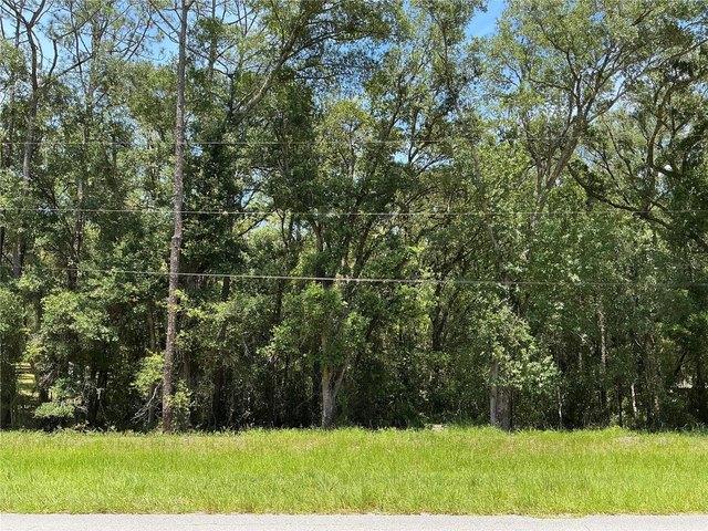 SW 102nd Street Rd, Dunnellon, FL 34431