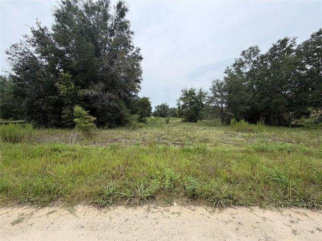 SW 108th Ln, Dunnellon, FL 34432