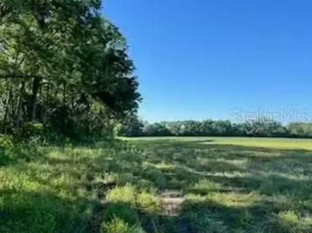 SW 10 Street SW, Bell, FL 32619 MLS GC520917