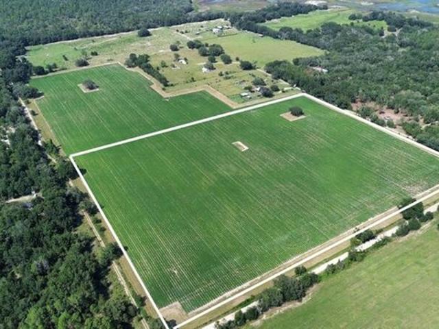 SW 120th Ave, Newberry, FL 32669