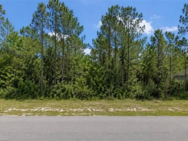 SW 131 Pl, Ocala, FL 34473