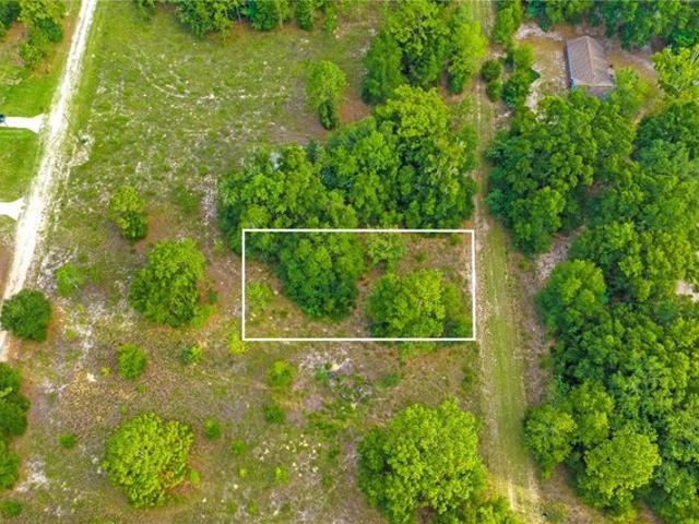 SW 146 Ct, Ocala, FL 34481