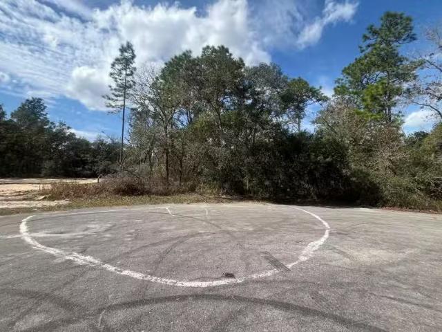 SW 151st Loop, Dunnellon, FL 34432 MLS RX 11053097