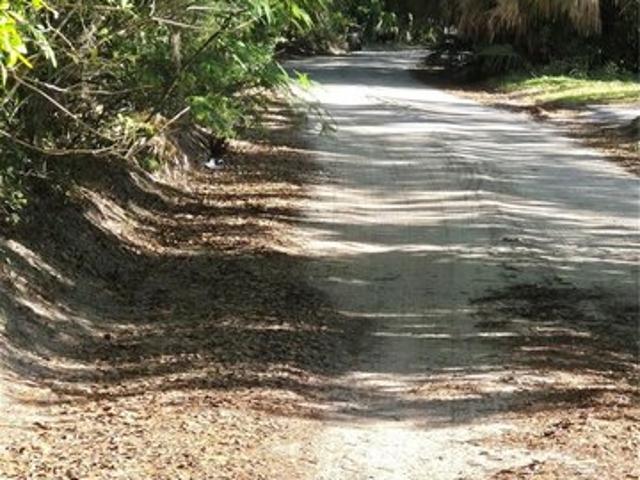 SW 153rd Ln, Dunnellon, FL 34432