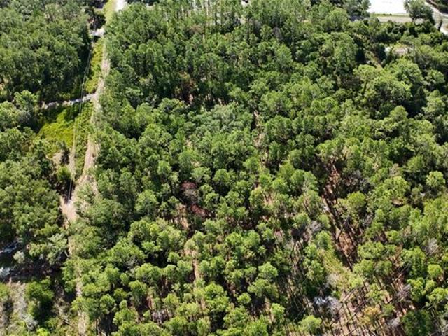 SW 156th Pl, Dunnellon, FL 34432