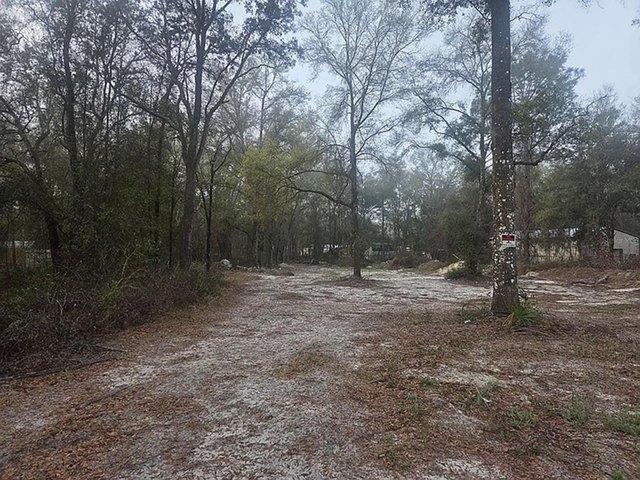 SW 156th Pl, Dunnellon, FL 34432