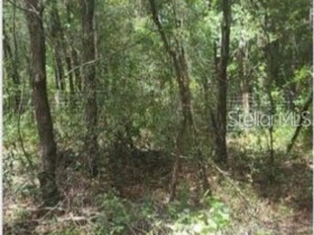 SW 156th Pl, Dunnellon, FL 34432