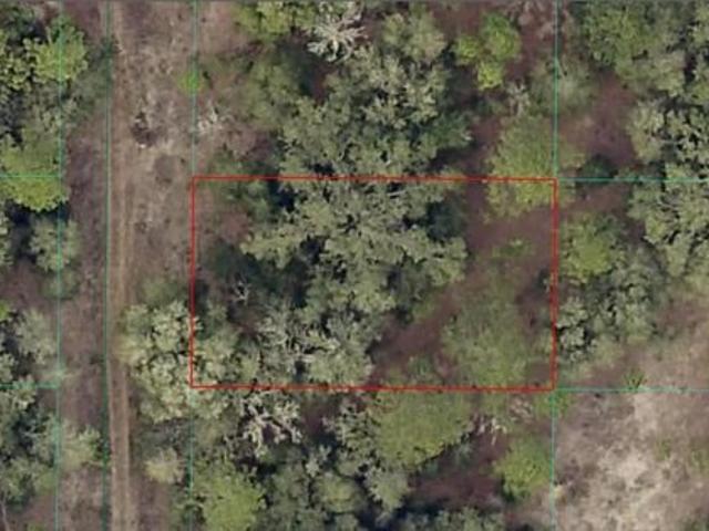 SW 157th Ter, Ocala, FL 34481