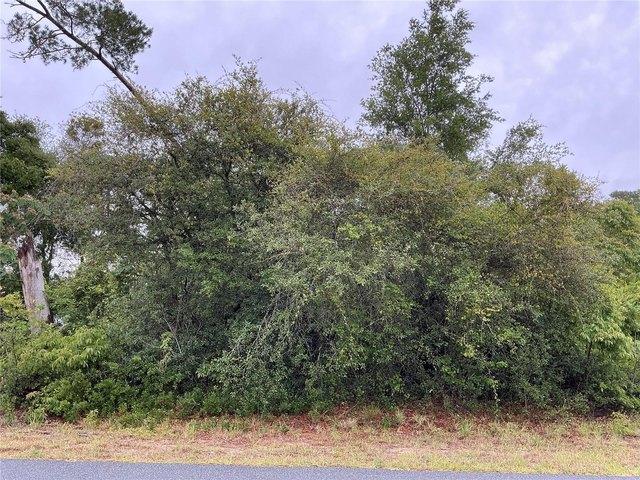 SW 165th Pl, Ocala, FL 34473