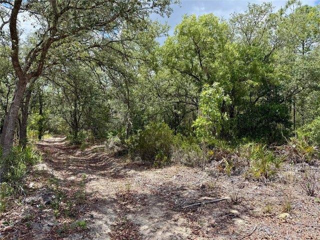 SW 200 St, Archer, FL 32618