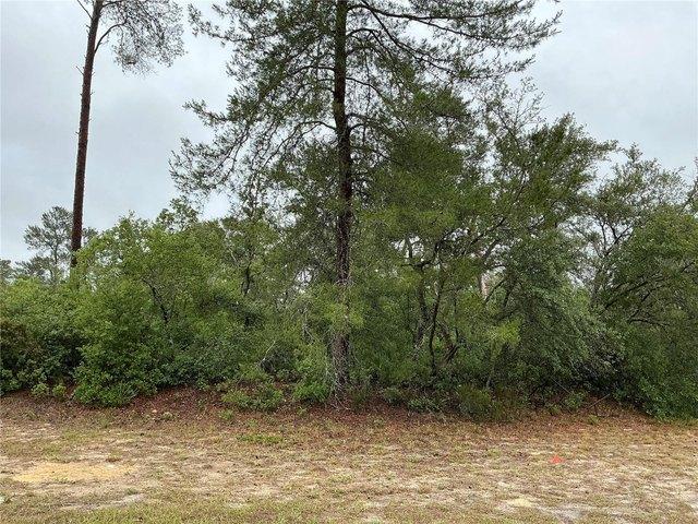 SW 20th Ct, Ocala, FL 34473