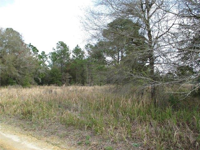 SW 24th Pl, Ocala, FL 34481
