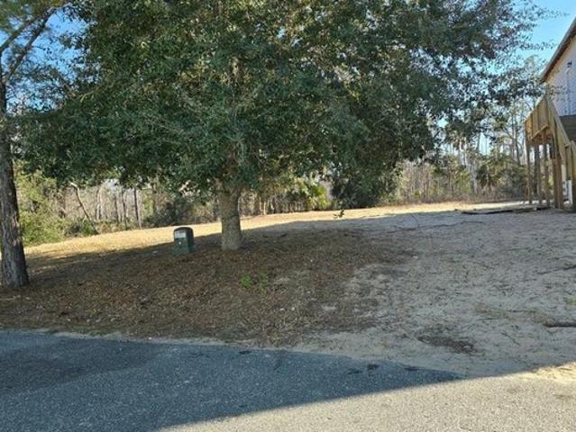 SW 294th Ave, Steinhatchee, FL 32359
