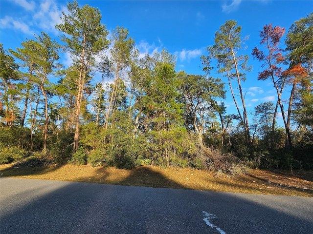 SW 33rd Ter, Ocala, FL 34473